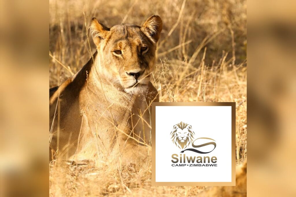 Silwane Camp offers ‘February Special’ African Safari in Zimbabwe ...