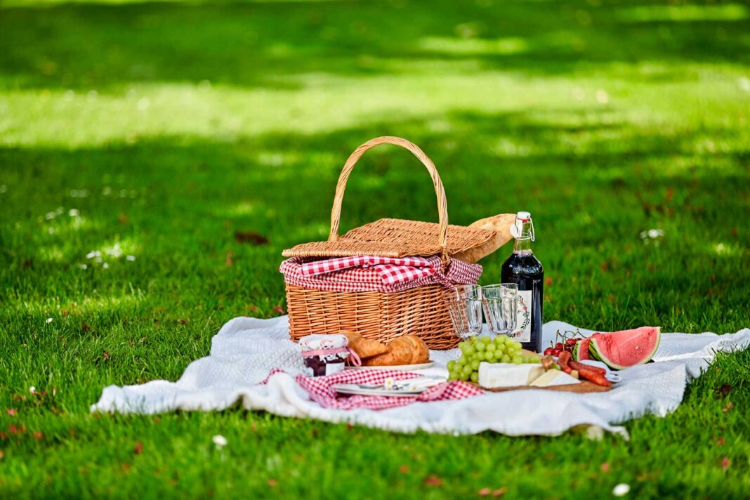 Experience these best picnic spots in Cape Town! - News Invasion 24