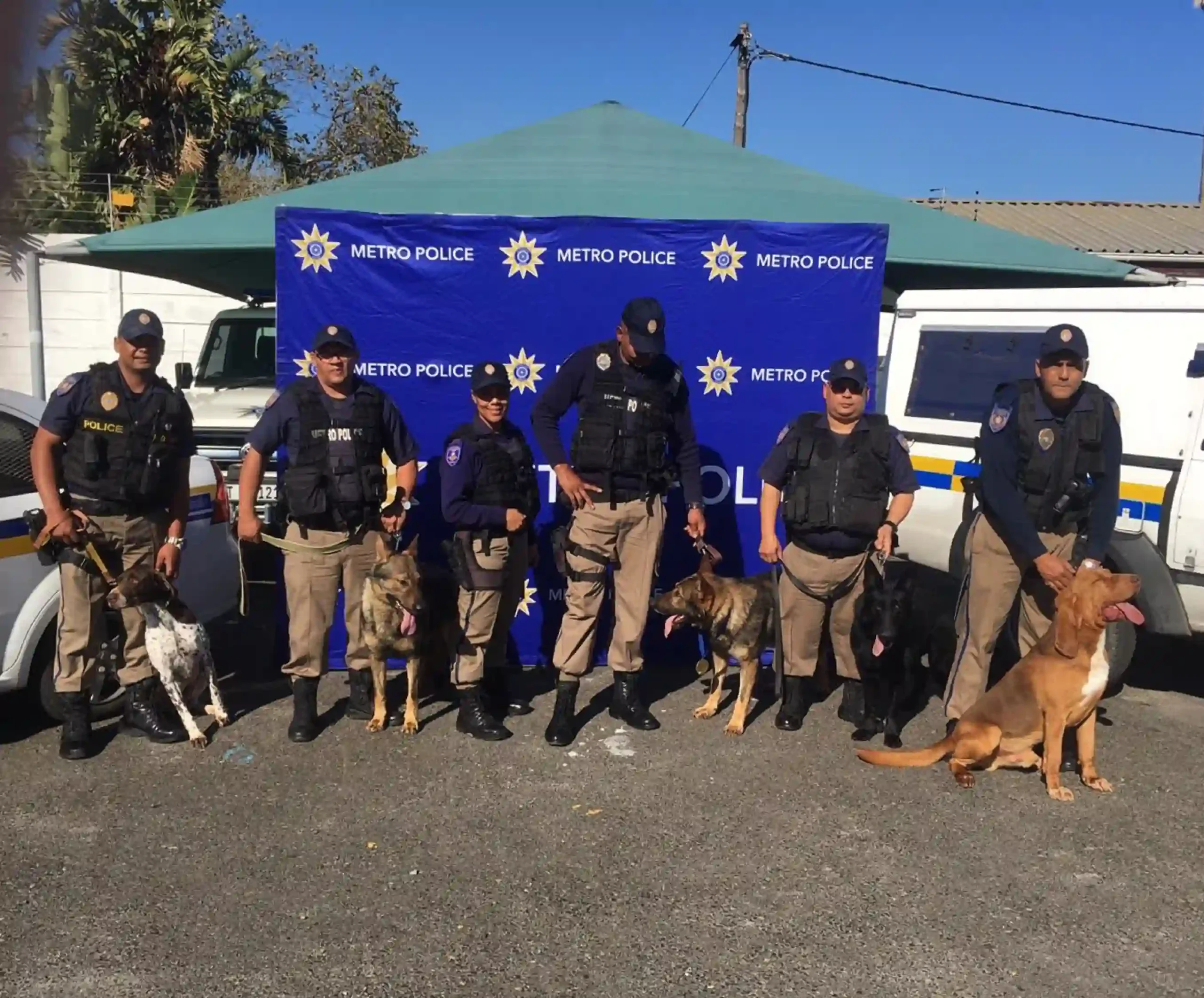 Cape Town Metro Police K9 Unit welcomes 10 new four-legged recruits ...
